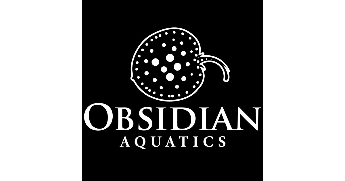 Maintenance & Servicing – Obsidian Aquatics